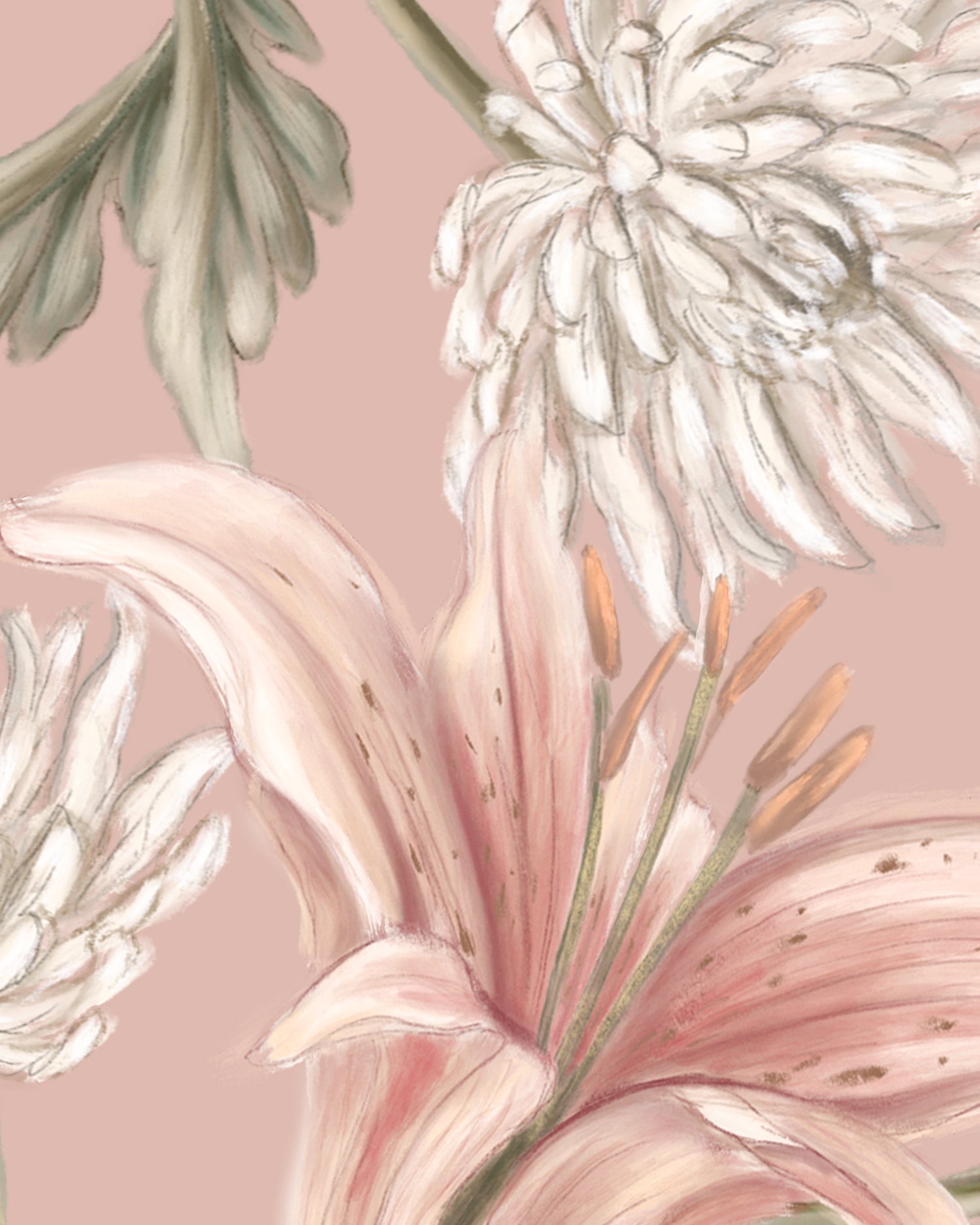 Lily of Dawn – Vel&Ash